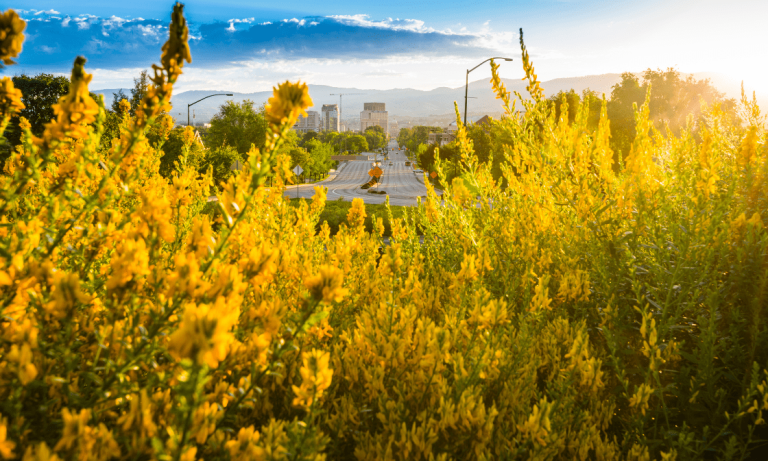 Discover Treasure Valley – Discover Boise, Meridia, Nampa, Caldwell ...